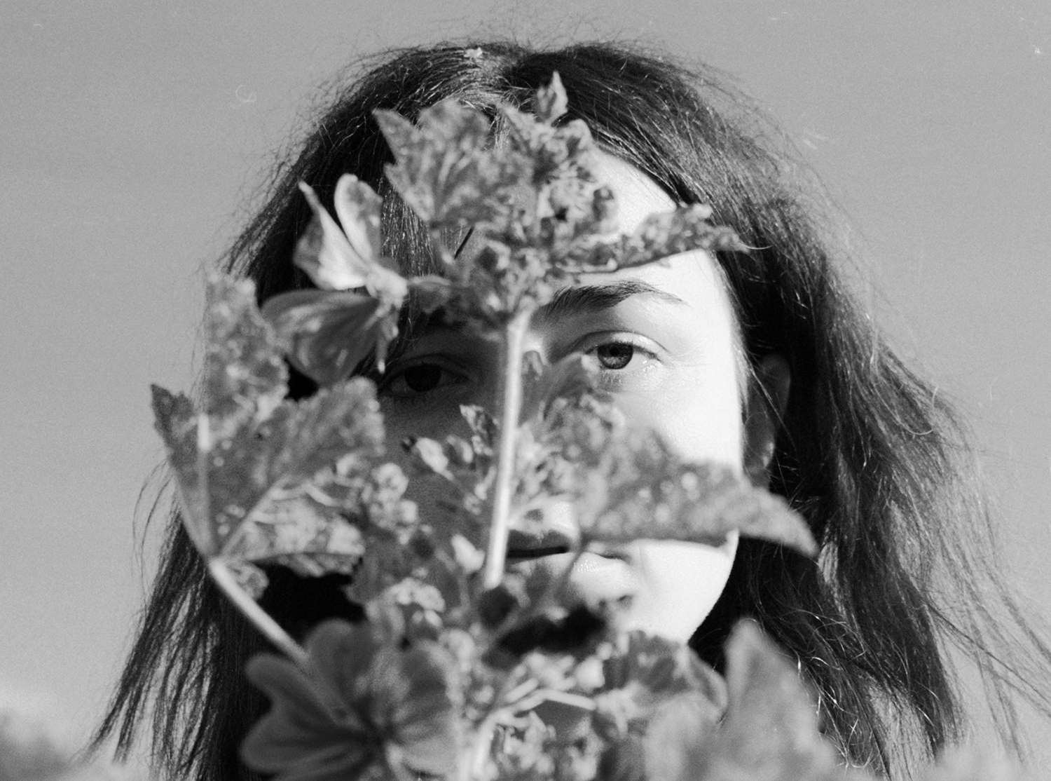 Marie K — | ADE